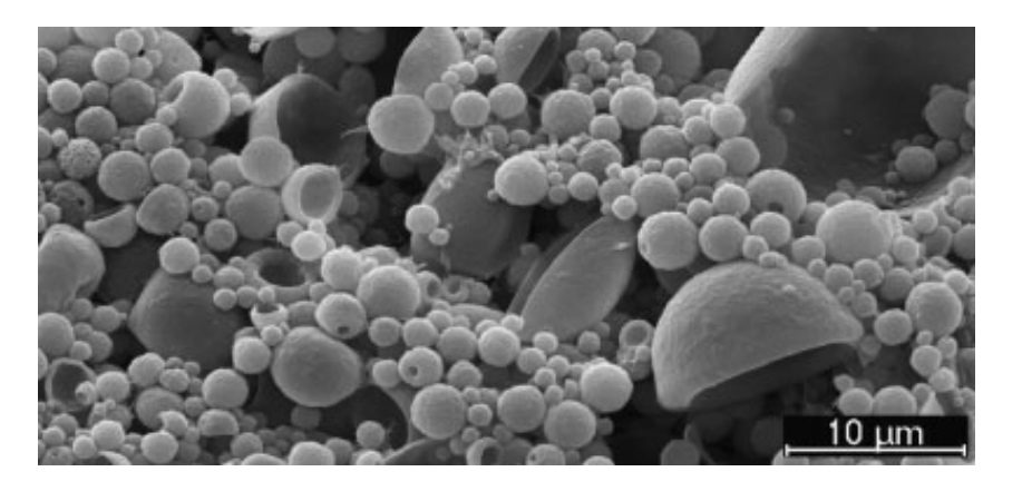 The Applications of Cellulose Acetate - QMplus Hub